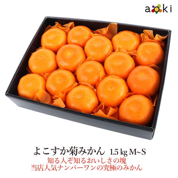 ■一粒ひと粒厳選されたよこすかみかん。ボコボコと果皮がしているのは美味しい証拠「菊みかん」だけを選んでお詰めいたします。濃厚な味わいのみかんです。●内容　よこすか菊みかん 1箱 1箱あたり　1500g前後●産地　よこすか菊みかん 神奈川県●...