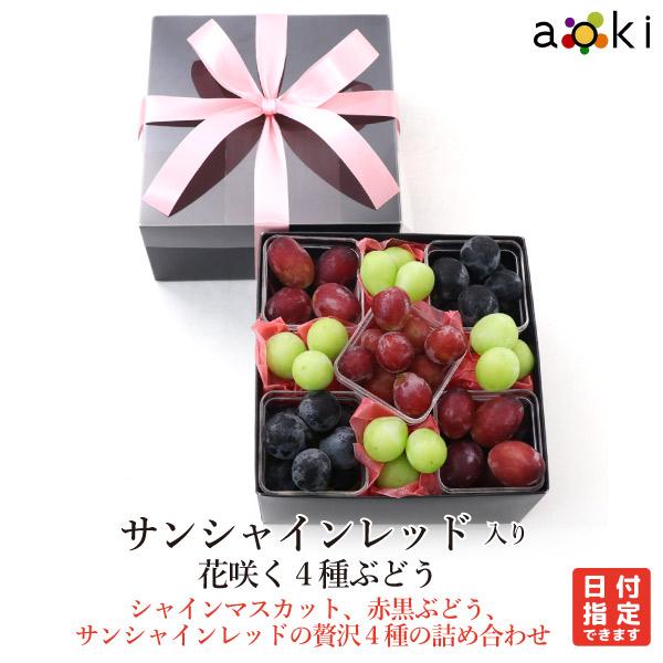 ●内容　おすすめ黒ぶどう 1セット 1セットあたり　200g前後 ／おすすめ赤ぶどう 1セット 1セットあたり　200g前後 ／サンシャインレッド 1セット 1セットあたり　100g前後 ／シャインマスカット 1セット 1セットあたり　10...