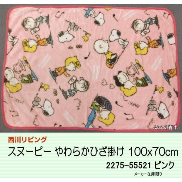 ■70x100cm■ポリエステル100%■西川リビング