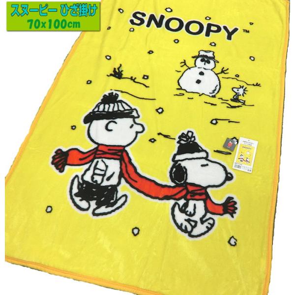 ■100x140cm■ポリエステル100%■洗濯可能・タンブル乾燥不可