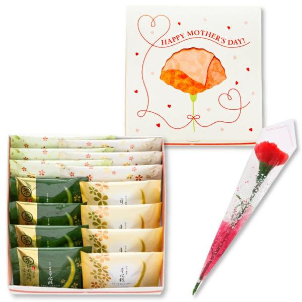 母の日おすすめギフト母の日の限定BOXに、季節限定の「月化粧生サブレ(抹茶)」と、人気の定番焼菓子を詰合せました。母の日の贈り物におすすめのギフトセットです。1箱につき赤いカーネーションが1輪付いています。(造花となります)日常の贈り物お土...