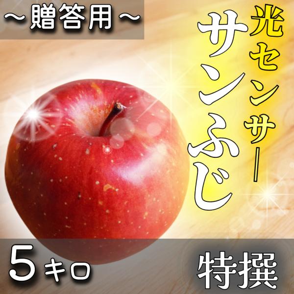 【発売日：2025年11月08日】人気 ランキング 訳あり わけあり 訳アリ 贈答 プレゼント 家庭用 自宅用 おすそ分け 手土産 お中元 お歳暮 常温 蜜入り 蜜 グルメ りんご リンゴ 林檎 りんご国産 国産りんご 国産 青森 青森県 ...