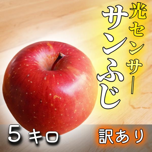 【発売日：2025年11月10日】人気 ランキング 訳あり わけあり 訳アリ 贈答 プレゼント 家庭用 自宅用 おすそ分け 手土産 お中元 お歳暮 常温 蜜入り 蜜 グルメ りんご リンゴ 林檎 りんご国産 国産りんご 国産 青森 青森県 ...