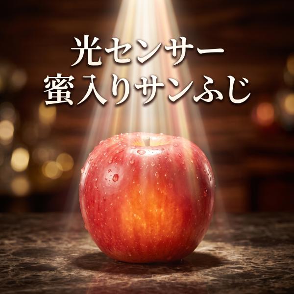 【発売日：2026年11月25日】人気 ランキング 訳あり わけあり 訳アリ 贈答 プレゼント 家庭用 自宅用 おすそ分け 手土産 お中元 お歳暮 常温 蜜入り 蜜 グルメ りんご リンゴ 林檎 りんご国産 国産りんご 国産 青森 青森県 ...