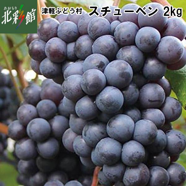 甘さがギュっと詰まった贅沢ぶどう！津軽の冬ぶどう「スチューベン」