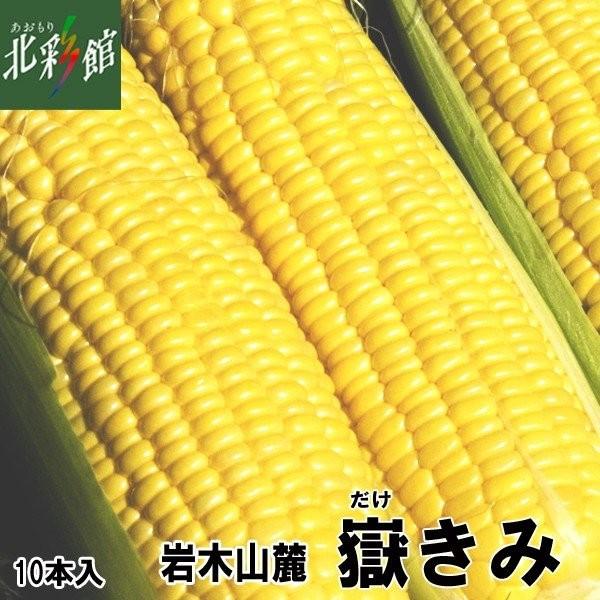 岩木山麓の嶽 (だけ) 地区で採れたとうもろこし