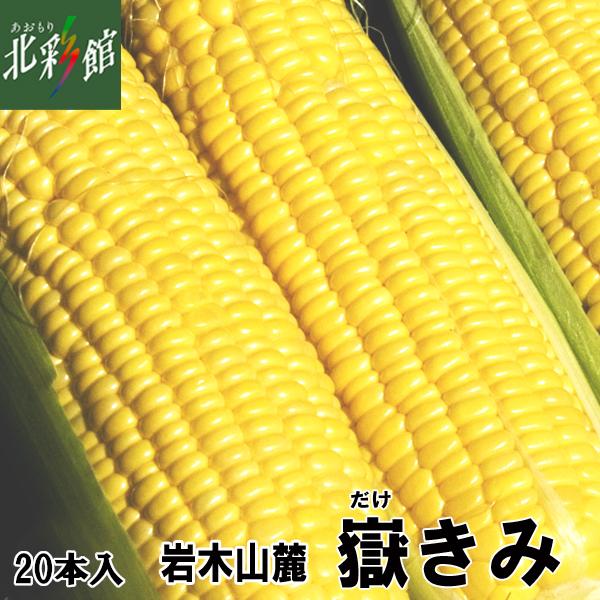 岩木山麓の嶽 (だけ) 地区で採れたとうもろこし