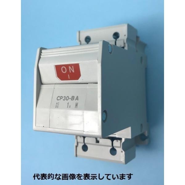 ●形名：CP30-BA 2P 1-M-10A●極数：2P●定格電流：10A●動作特性：中速形●外形寸法：タテ73mmヨコ35mmフカサ(本体)35mmハンドルタカサ65mm●定格遮断容量：AC250V2.5kA DC120V2.5kA