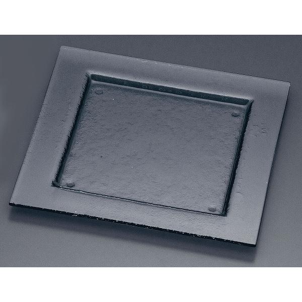 スクエアプレート タイガーグラス(Tigergrass) 161-192-01 RTI6402 スクエアトレー スクエアトレイ プレート トレー トレイ 角皿 食器 テーブルウェア 卓上用品 ガラスプレート ガラス kitchen tool...