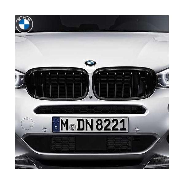 【適合車種】Ｘシリーズ Ｘ５：F15Ｘシリーズ Ｘ６：F16※ナイト・ビジョン非装備車用※光沢仕上げ光沢仕上げのブラックがエレガント性とダイナミック性を際立たせます。右側：51712334710  左側：51712334708取り付けサイド...