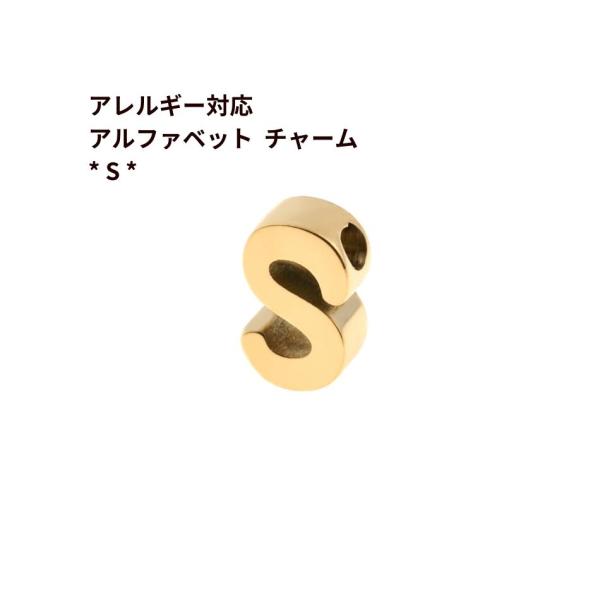 【サイズ】約8×4.8ｍｍ、重さ約0.44ｇ【素材】サージカルステンレス316 ※ニッケルフリーメッキ処理【商品説明】医療用器具にも使用される低アレルギー素材のサージカルステンレス製のアルファベットチャームです。