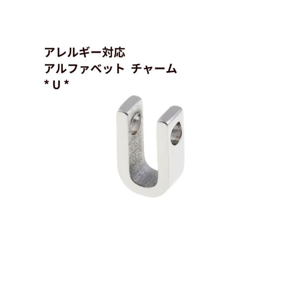 【サイズ】約8×4.9ｍｍ、重さ約0.36ｇ【素材】サージカルステンレス316【商品説明】医療用器具にも使用される低アレルギー素材のサージカルステンレス製のアルファベットチャームです。