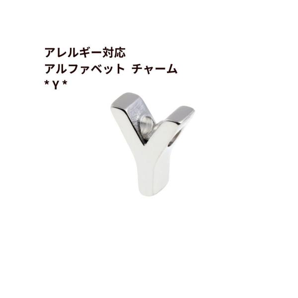 【サイズ】約8×6.5ｍｍ、重さ約0.35ｇ【素材】サージカルステンレス316【商品説明】医療用器具にも使用される低アレルギー素材のサージカルステンレス製のアルファベットチャームです。