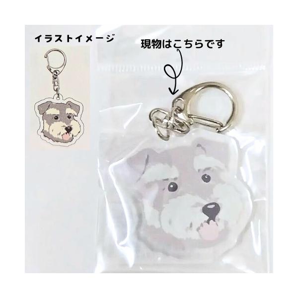 当ショップ新入荷、「ミニチュア シュナウザー犬/ルーク」のアクリルキーホルダーです。商品コード 1-minti-78191■ブランド・MINTINN/ミントイン■番号・・・78191■商品名・・アクリルキーホルダー■柄・・・ルーク■カテゴリ...