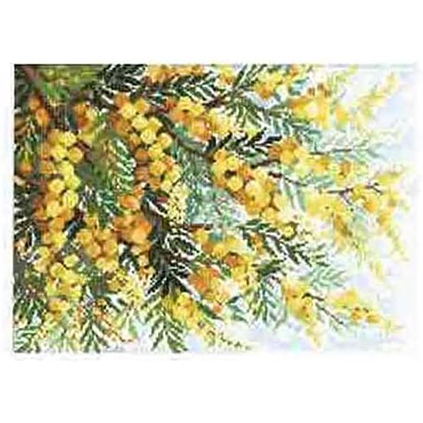 【商品説明】　・主な製造国 : 日本・女の子向き・対象年齢 : 18歳から・本体サイズ : 333×422mm※未決済で３日経過した場合は、ご案内無しで一旦キャンセルさせていただきます。※食品商品について・・・商品サンプル画像に賞味期限が記...