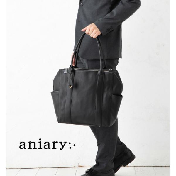 apois11_20220512aniary1