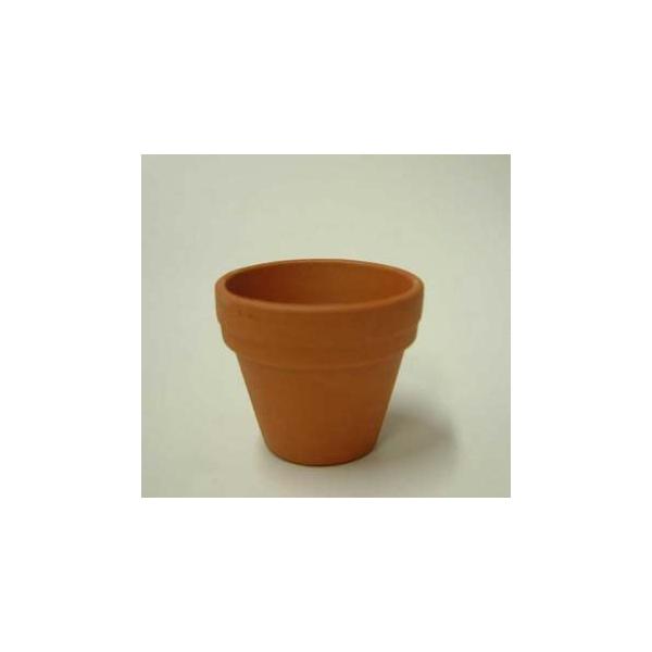 【商品概要】小品・豆盆栽用の仕立て鉢です。サイズは直径３．４ｃｍ、高さ３ｃｍです。【商品説明】小品・豆盆栽用の仕立て鉢です。サイズは直径３．４ｃｍ、高さ３ｃｍです。【商品詳細】ブランド：所沢植木鉢センター商品種別：DIY・工具・ガーデン商品...