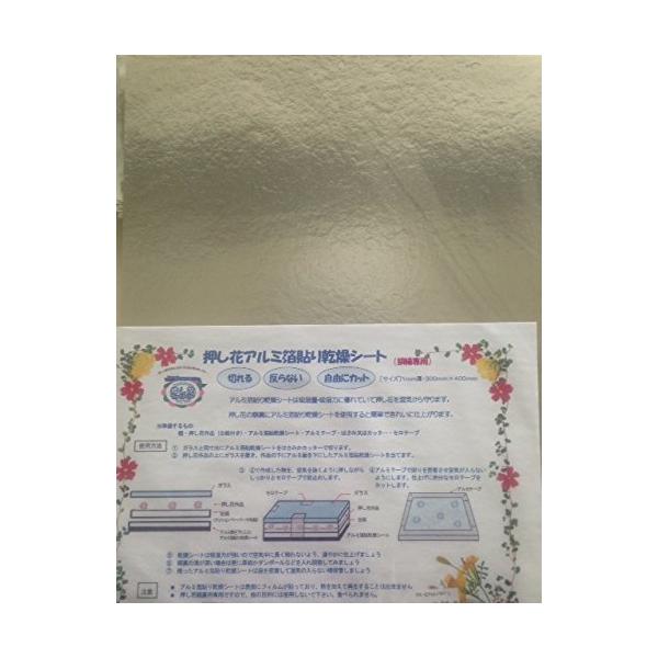 【商品概要】600【商品説明】【商品詳細】ブランド：オーアールエス(ORS)商品種別：ホーム＆キッチン商品名：押し花用資材 『アルミ箔貼り乾燥シート FK-G』製造元：オーアールエス(ORS)商品番号：FK-G色：シルバー【当店からの連絡】