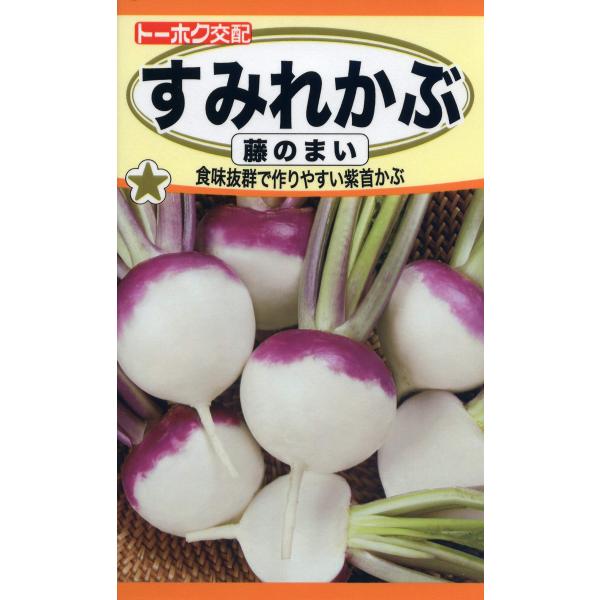 【商品概要】春秋まき内容量:3ml発芽率:90%【商品説明】【商品詳細】ブランド：株式会社トーホク商品種別：DIY・工具・ガーデン商品名：株式会社トーホク すみれかぶ 藤のまい 01215製造元：株式会社トーホク商品番号：01215色：紫と...