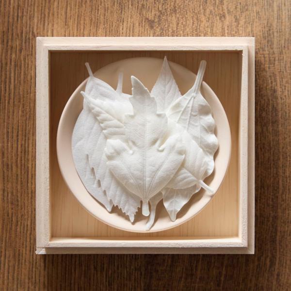 【商品概要】（商品サイズ）：W108mm × H108mm × D40mm （重さ）：125g【商品説明】Renewal　「HA KO」 もっと日常に寄り添いたくて バリエーション豊かにリニューアル。 ずっと愉しんでもらいたくて プラスチッ...