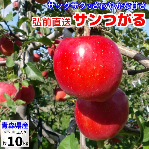【発売日：2026年09月11日】りんご サンつがる（訳あり）の特徴・産地直送だから新鮮で安心して食べられるため、毎日の食卓に取り入れやすいりんごです。・りんご サンつがるは、クセのない甘さと軽やかな食べ心地で、子どもから大人まで幅広く親し...