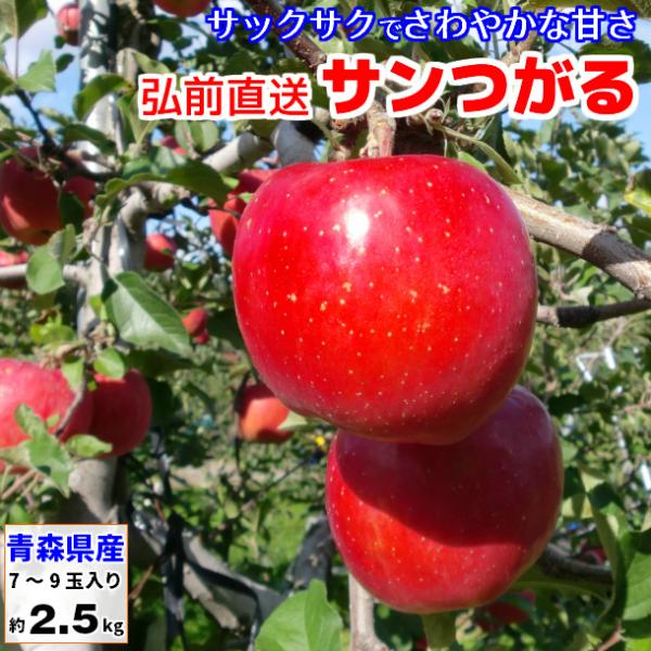 【発売日：2026年09月11日】りんご サンつがる（訳あり）の特徴・産地直送だから新鮮で安心して食べられるため、毎日の食卓に取り入れやすいりんごです。・りんご サンつがるは、クセのない甘さと軽やかな食べ心地で、子どもから大人まで幅広く親し...
