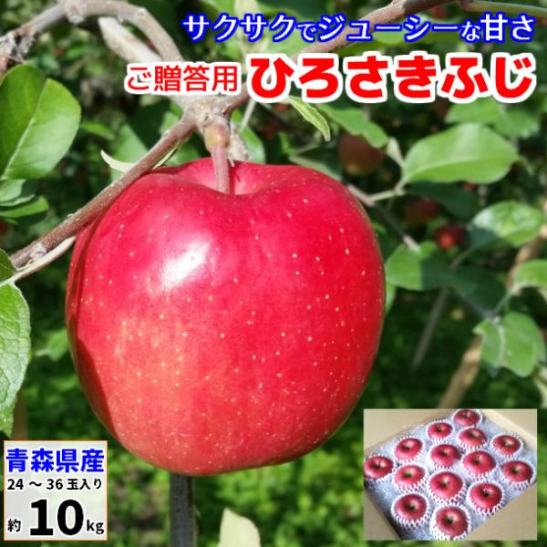 【発売日：2026年10月01日】《贈答用りんご 早生ふじの特徴》・見た目が立派で味も良いから、贈り物に最適で、大切な方へのギフトとして安心して選ばれています。・果汁たっぷりで甘みとやさしい酸味のバランスがよく、サクサクとした食感が特徴の早...