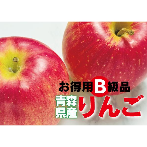 【発売日：2024年09月03日】・未希ライフ(渋みの少ない赤い品種※在庫薄)キズやツル割れ、つぶれ等有り「わけあり」で大小不揃いな「B級品」ですりんごはなまものの為、個々に違いがあり、・味・サイズ・色等は常に同じ物ではありません。必ず成熟...