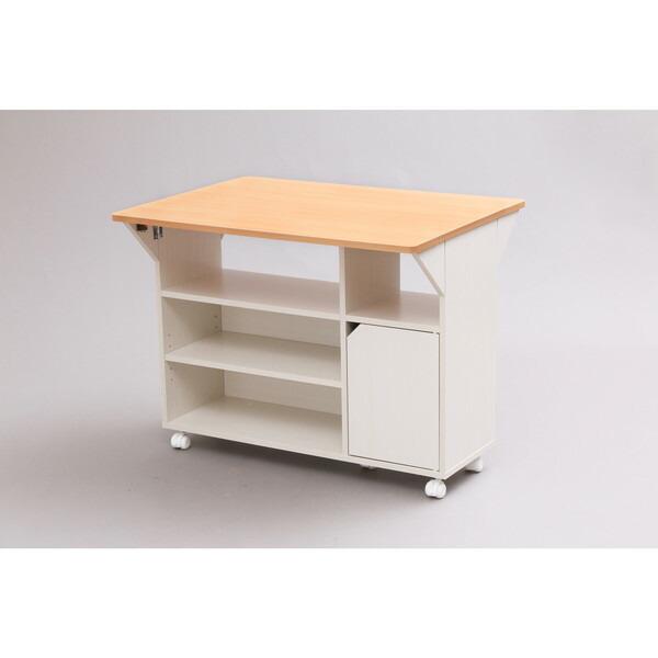 アイリス IRIS OHYAMA