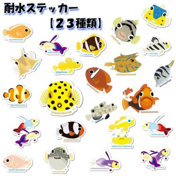 商品詳細情報■お魚ステッカー・サイズ：70mm × 70mm 以内※ 種類によりサイズが小さい物もあります ・用途： 防水で色あせしない素材になっていますので海で使うものに貼れます。浮き輪、サーフボード、水中ハウジング、水中ライト、水中スト...