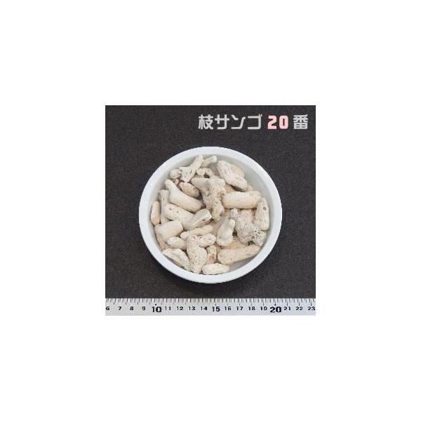 サンゴ砂の特長(1)水のＰＨを中性〜弱アルカリ性の状態に保ち安定した水質を持続 (2)雑菌等の抑制効果により魚が生き生きと発育 (3)魚の排泄物等から出るアンモニア性窒素の分解を活発に促進 (4)生物的濾過によりバクテリアを繁殖させ良好な飼...