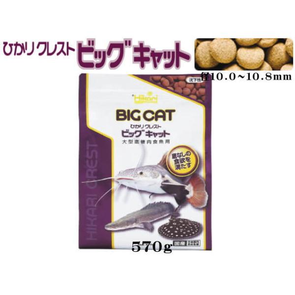 商品名：キョーリン ひかりクレストビッグキャット５７０ｇ大型底棲肉食魚専用飼料 １粒の体積が通常の６．５倍にボリュームＵＰ！ 迫力の魚体が魅力の底層で生活する大型なまず類を、 骨格からしっかり成長させる沈下性の専用飼料です。■優れた栄養バラ...
