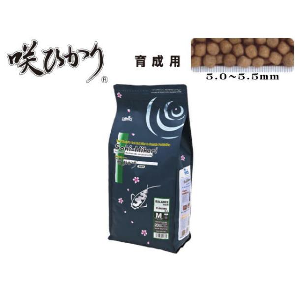 商品名：咲ひかり育成用　浮上（M）5ｋｇ錦鯉飼料咲ひかり育成用は、魚の筋肉、血液、組織など体を造るために重要なタンパク源として、動物性・植物性の原料をバランスよく配合しました。魚の運動エネルギーとして消費されていた一部のタンパク質が成長のた...