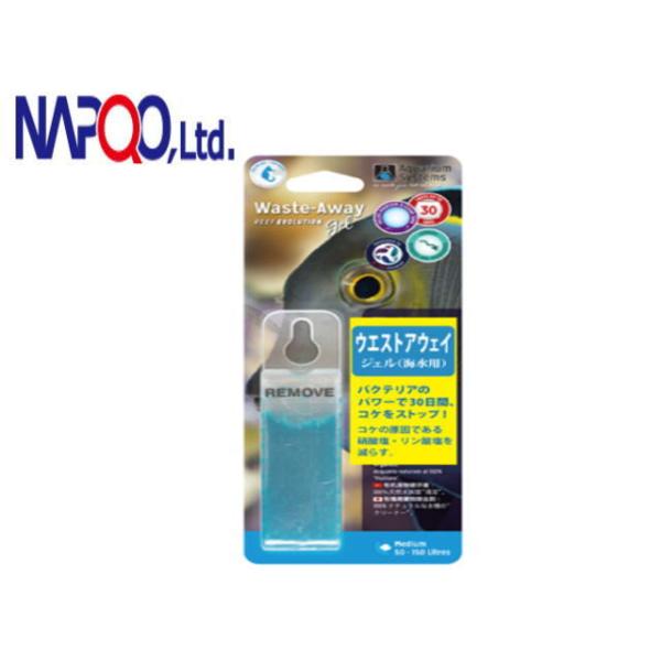 商品名：ウエストアウェイジェル　海水用M※ポスト投函【ネコポス発送】他用品同梱包不可・商品代引き不可商品になります。■特徴有機性廃棄物の消費と分解をする善玉菌を水槽内に継続的に拡散させ水をより綺麗に保ちながらコケを抑制します。魚、サンゴに1...