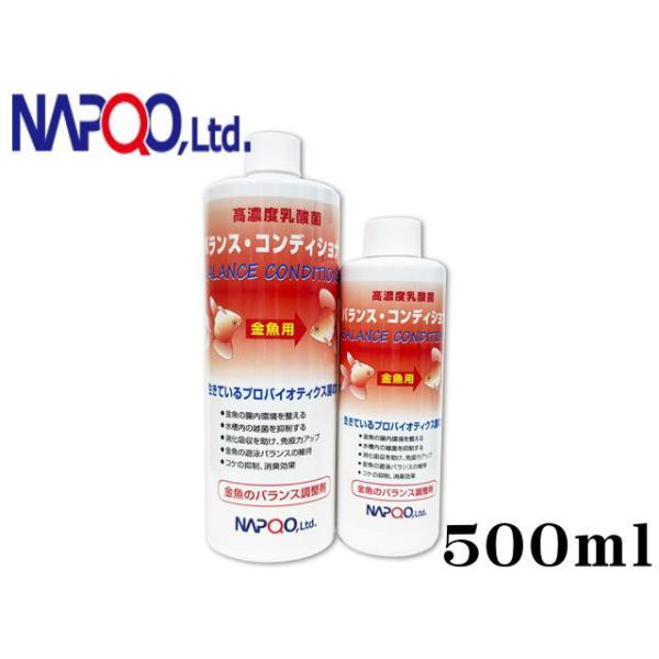 商品名：バランスコンディショナー 金魚用 500ml高濃度乳酸菌配合コンディショナー生きてるプロバイオティクス菌の力で、金魚の腸内環境を整えて、腸内に溜まるガスを抑制し遊泳バランスを向上、健康を維持金魚のバランス調整剤生きている乳酸菌が、水...