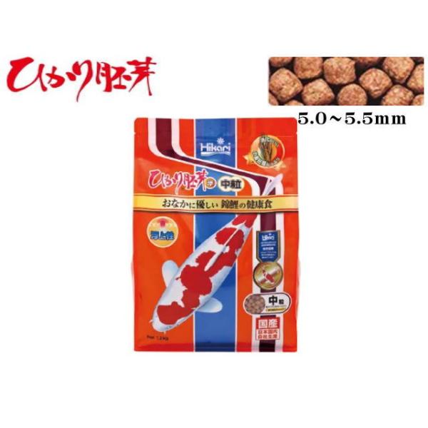 商品名：ひかり胚芽 浮上 中粒　1.2ｋｇひかり胚芽は、栄養価が高く、しかも消化・吸収しやすい小麦胚芽を高比率で配合した錦鯉用飼料です。低水温でも消化に負担をかけない配合で、消化不良による体調の悪化を防止します。・良消化タイプ独自のノウハウ...