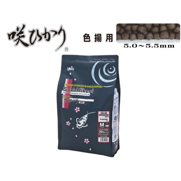 商品名：咲ひかり色揚用　浮上M2ｋｇ 錦鯉飼料 一般的な錦鯉の緋盤の色揚げにはスピルリナが最も効果があると言われており、その効果については数々の研究が実証されています。このスピルリナの中でも特に色揚げ成分があるゼアキサンチンを豊富に含んだも...