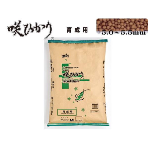 商品名：咲ひかり育成用　浮上 M 15ｋｇ※お買い上げ後の【お取り寄せ商品】あすつく対象外商品です。■錦鯉飼料咲ひかり育成用は、魚の筋肉、血液、組織など体を造るために重要なタンパク源として、動物性・植物性の原料をバランスよく配合しました。魚...
