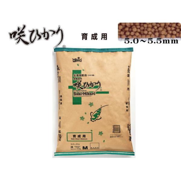 商品名：咲ひかり育成用　沈下 M 20ｋｇ※お買い上げ後の【お取り寄せ商品】あすつく対象外商品です。■錦鯉飼料咲ひかり育成用は、魚の筋肉、血液、組織など体を造るために重要なタンパク源として、動物性・植物性の原料をバランスよく配合しました。魚...