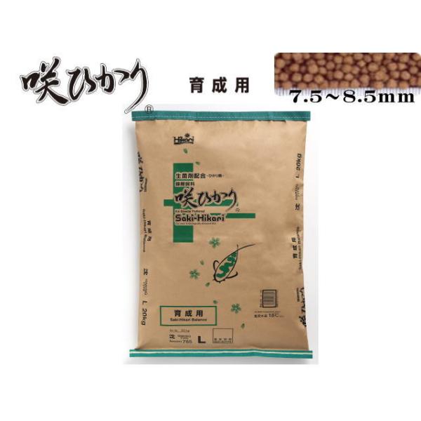 商品名：咲ひかり育成用　沈下 L 20ｋｇ※お買い上げ後の【お取り寄せ商品】あすつく対象外商品です。■錦鯉飼料咲ひかり育成用は、魚の筋肉、血液、組織など体を造るために重要なタンパク源として、動物性・植物性の原料をバランスよく配合しました。魚...