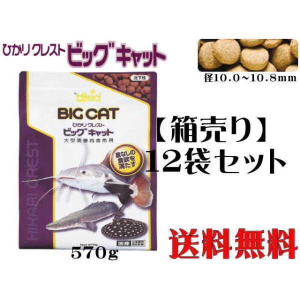商品名：ひかりクレストビッグキャット570ｇ　12袋※お買上げ後の【お取り寄せ商品】です。※あすつく対象外商品大型底棲肉食魚専用飼料1粒の体積が通常の6.5倍にボリュームUP！迫力の魚体が魅力の底層で生活する大型なまず類を、骨格からしっかり...