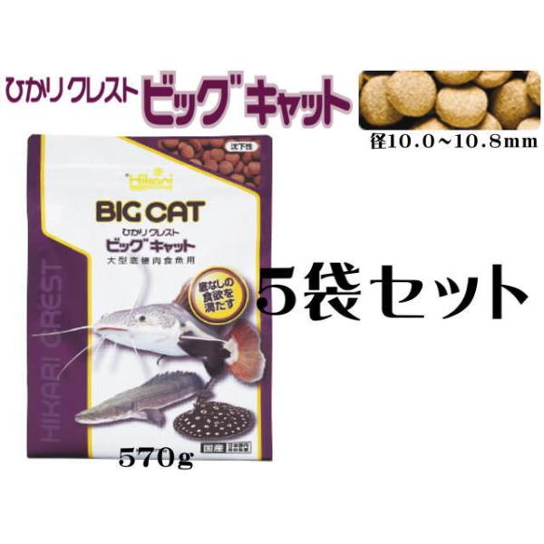商品名：ひかりクレストビッグキャット５７０ｇ　5袋大型底棲肉食魚専用飼料 １粒の体積が通常の６．５倍にボリュームＵＰ！ 迫力の魚体が魅力の底層で生活する大型なまず類を、 骨格からしっかり成長させる沈下性の専用飼料です。■優れた栄養バランス良...