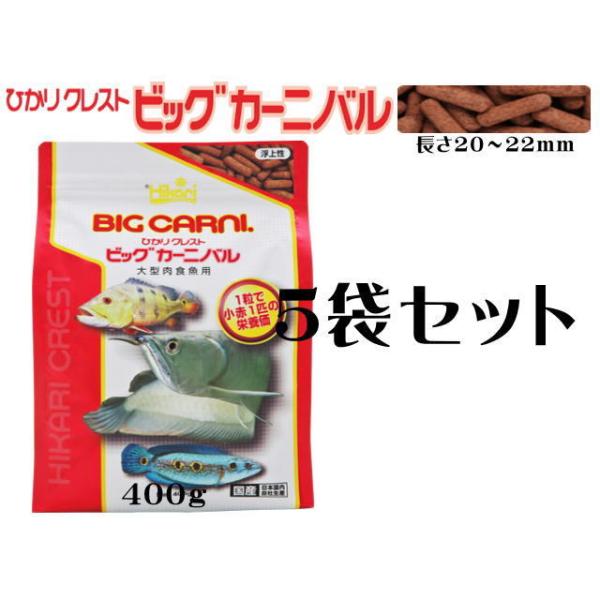 商品名：ひかりクレストビッグカーニバル４００ｇ 5袋　大型肉食魚専用飼料です。生き餌を主体とする飼育では、栄養の片寄りが問題となっていた、肉食魚の為の完全栄養飼料です。いままでの餌のサイズの満足出来なかった魚のための【ビック】な粒！ガーパイ...