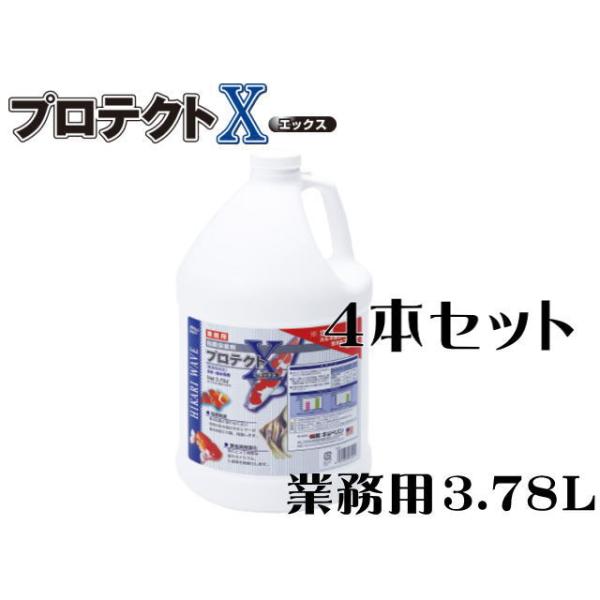 商品名：プロテクトＸ業務用3.78Ｌ 4本セット※お買い上げ後の【お取り寄せ商品】あすつく対象外商品です。粘膜保護剤魚の粘膜に近い成分の高分子ポリマーが傷ついた魚の体表を保護します。新しく魚を購入したい際や、採取した魚の粘膜に傷がついている...