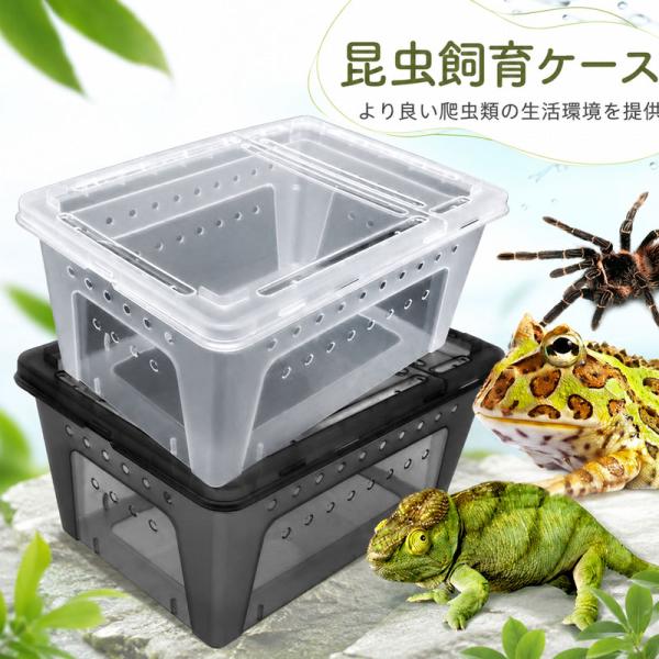 【商品の特徴】1. 透明プラスチック素材、生体観察に最適クリアな本体デザインで内部がよく見え、カブトムシ・クワガタの幼虫や卵の成長過程、小さな生体をじっくり観察可能。素材は丈夫なプラスチックで衝撃に強く長持ちします。2. フタに空気穴を配置...