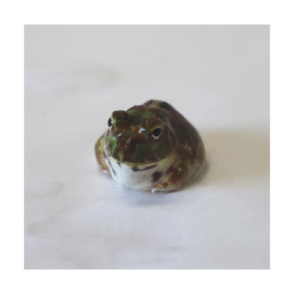 ずんぐりむっくりのコロコロした体型と大きな目、体色が何とも言えないカエルです。エサは、メダカorコオロギを食べています。パネルヒーターをケージの下に敷いて飼育しています。2025年9月26日入荷サイズ：約３cm前後【生体のご注文についてご確...