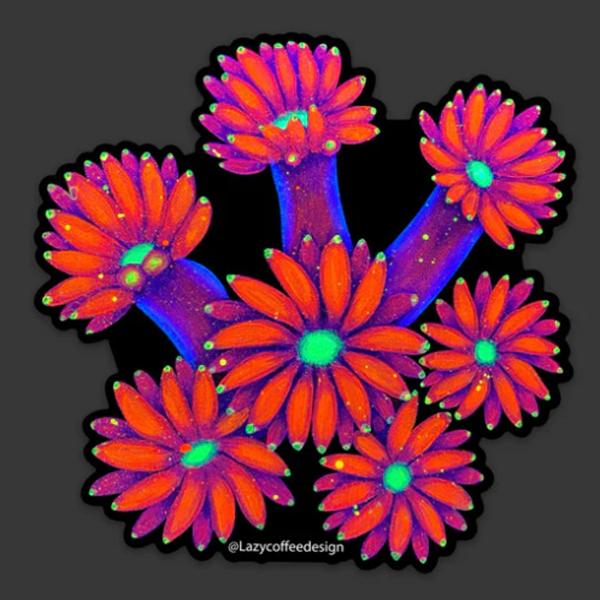 メーカー：Aqua Tailors アクアテイラーズ次回入荷は未定となっております。※ご覧のモニターやスマートフォンの画質等により、実際の色合いと見え方が異なる場合がございます。ホビー商品という点ご了承ください。*Style:  Die c...