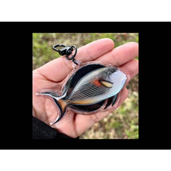 こちらの商品は「生体」です。送料と別途に生体梱包料500円を頂戴しております。必ずご購入前にお支払いについて内の「手数料について」および返品、交換、保証について内の「商品の保証について」をご確認の上、ご注文ください。