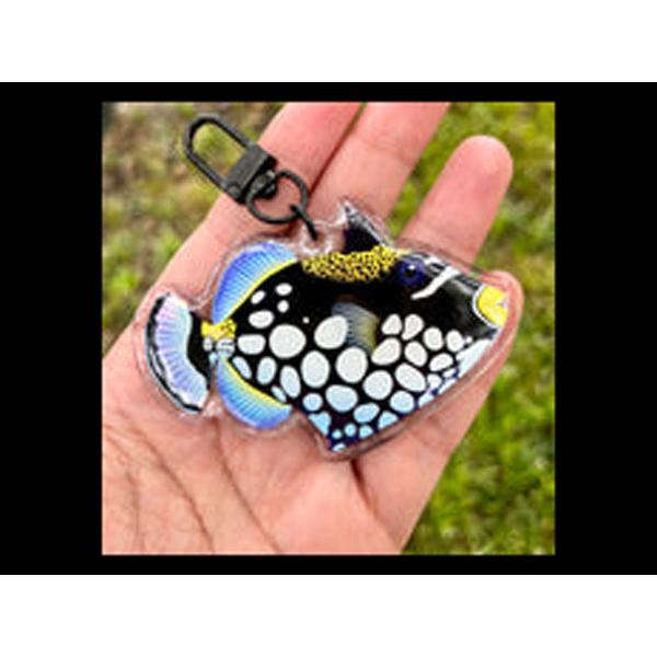 こちらの商品は「生体」です。送料と別途に生体梱包料500円を頂戴しております。必ずご購入前にお支払いについて内の「手数料について」および返品、交換、保証について内の「商品の保証について」をご確認の上、ご注文ください。