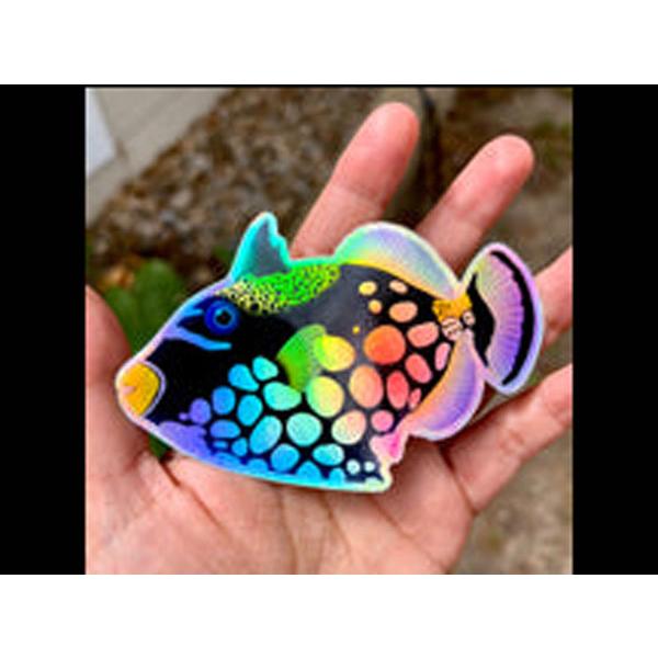 こちらの商品は「生体」です。送料と別途に生体梱包料500円を頂戴しております。必ずご購入前にお支払いについて内の「手数料について」および返品、交換、保証について内の「商品の保証について」をご確認の上、ご注文ください。